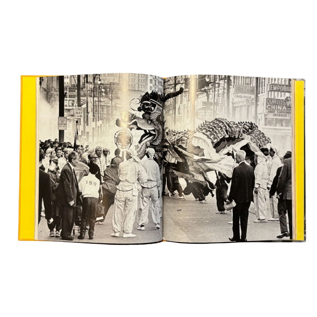 Vitality: Iconic Images, Hidden Stories – The Polygon Gallery