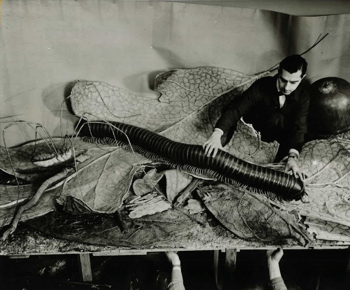 Alex J. Rota – The Polygon Gallery
